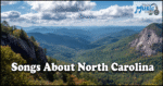 Bot Verification